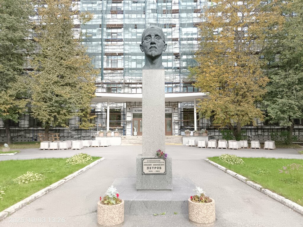 Anıt, heykel Бюст Николая Николаевича Петрова, Saint‑Petersburg, foto