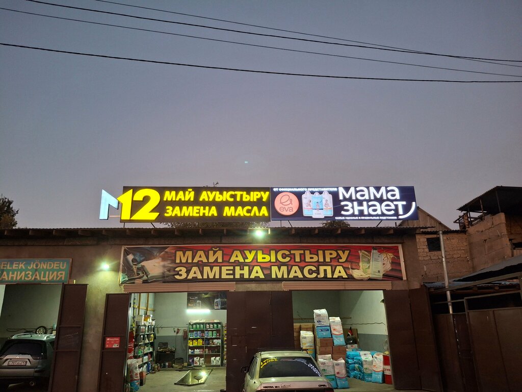 Express yağ değişim noktası M12, Çimkent (Şımkent), foto