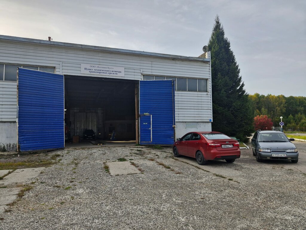 Araç muayene istasyonları Калинов куст, Kalujskaya oblastı, foto