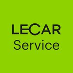 LECAR Service (Tomsk, Yelizarovykh Street, 86), express oil change  Tomsk'tan