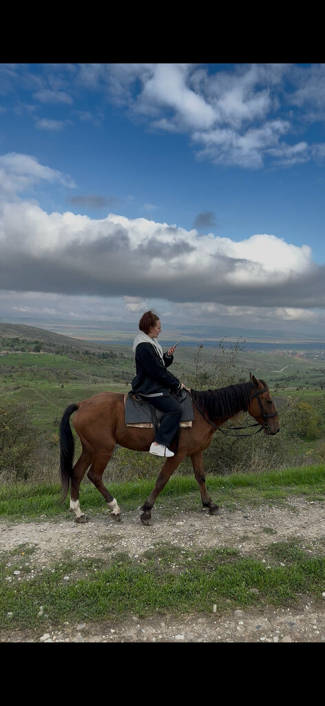 At ve binicilik kulüpleri Ранчо у Рустама, Grozni, foto