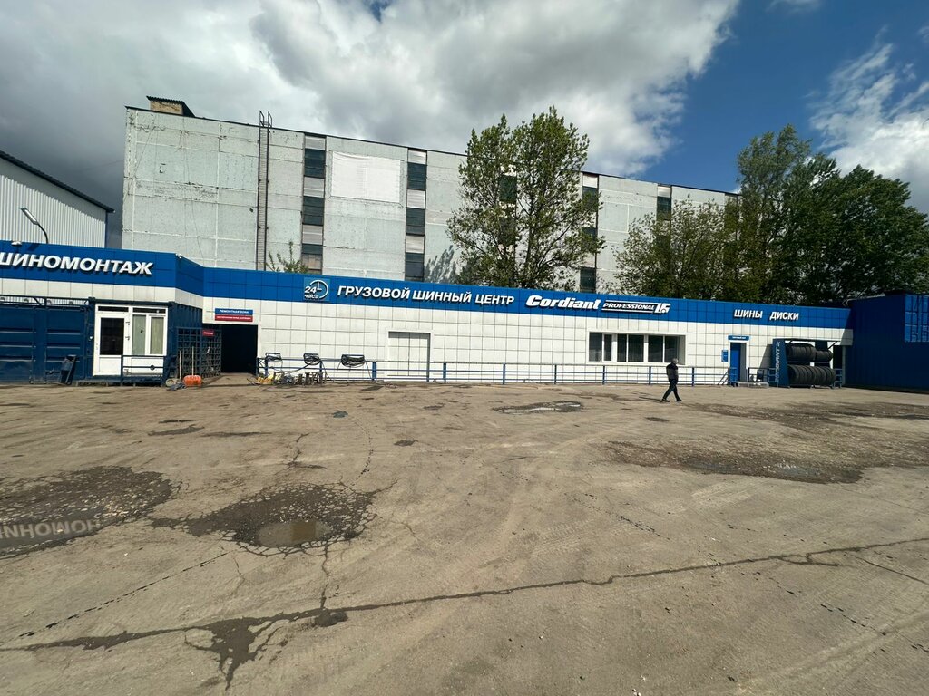 Jant ve lastikçiler ВостокШин Cordiant Professional, Vidnoye, foto