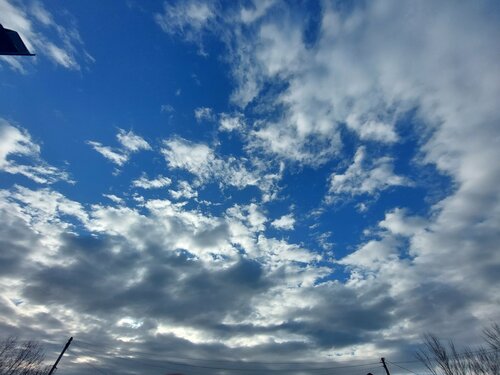 Alışveriş merkezleri Shopping Center, Cizzak eyaleti, foto