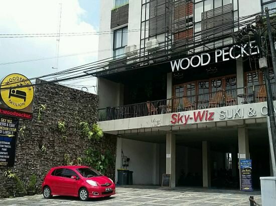 Otel Woodpecker Pavilion, Dünya, foto