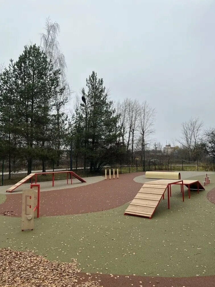 Köpek gezdirme alanları Собачья площадка, Kaluga, foto