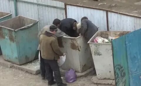 Çöp alanları Trash and garbage disposal area, Saint‑Petersburg, foto