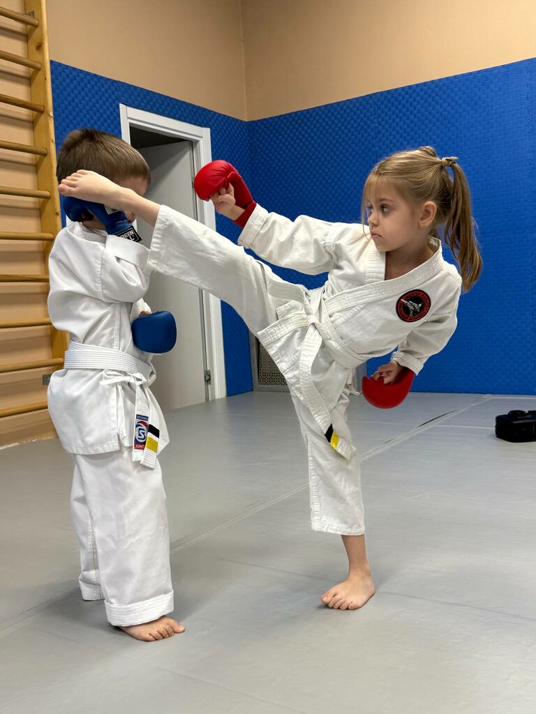 Spor kulüpleri School karate Nikolaevoj Antoniny, Moskova, foto