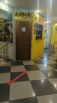 Animal (Glavnaya ulitsa No:2А, Olgino Microdistrict), spor ve jimnastik salonları  Balaşiha'dan