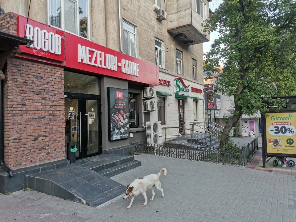 Kasap, şarküteri Rogob, Kişinev, foto