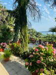 Morskoi briz (Отрадная улица No:19, посёлок городского типа Отрадное), otel  Kırım Cumhuriyeti'nden