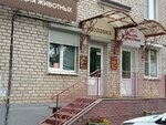 Салон красоты (Molodyozhnaya ulitsa No:19), güzellik salonu  Volhov'dan