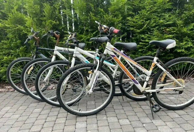 Bisiklet kiralama Велопрокат Белый Лебедь, Saint‑Petersburg ve Leningradskaya oblastı, foto