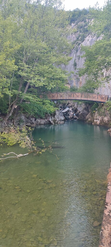 Turizm danışma büroları Küre Dağları Milli Parkı Ulukaya İdare Tanıtım ve Ziyaretçi Merkezi, Ulus, foto