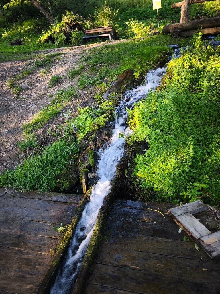 Pınar, çay Spring, stream, Kalujskaya oblastı, foto