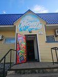 Продукты (Novoaltaysk, 2-ya Shkolnaya ulitsa, 34), grocery  Novoaltaysk'tan