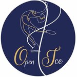 Open Ice (Dalnevostochniy Avenue No:54), spor kulüpleri  Saint‑Petersburg'dan