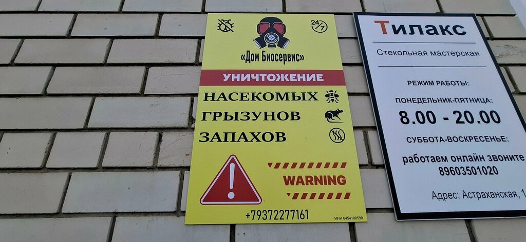 Yönetim ofisi Дом биосервис, Saratov, foto