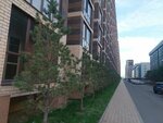 Nurly (Qabanbaı Batyr dańǵyly No:57/2), anaokulları  Astana'dan