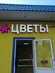 Цветы (ulitsa Lenina No:2А, Work Settlement of Pravdinskiy), çiçekçiler  Moskova ve Moskovskaya oblastından