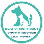 Yshi Lapi Xvost (ulitsa Chekhova No:19А), evcil hayvan kuaförleri  Viazniki'den