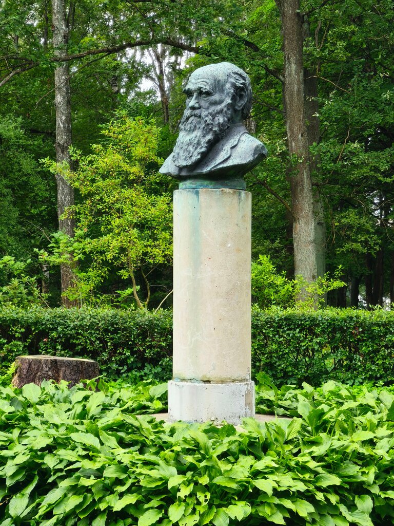 Anıt, heykel Чарльз Дарвин, Saint‑Petersburg ve Leningradskaya oblastı, foto