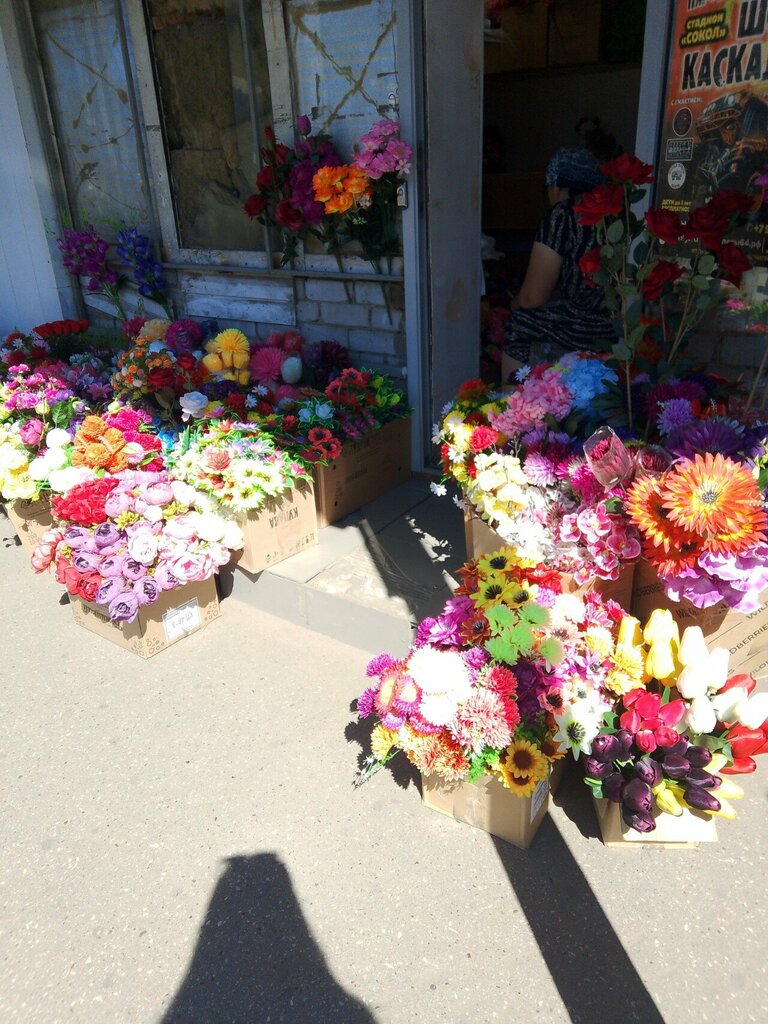 Yapay bitki ve çiçek Цветы, Saratov, foto