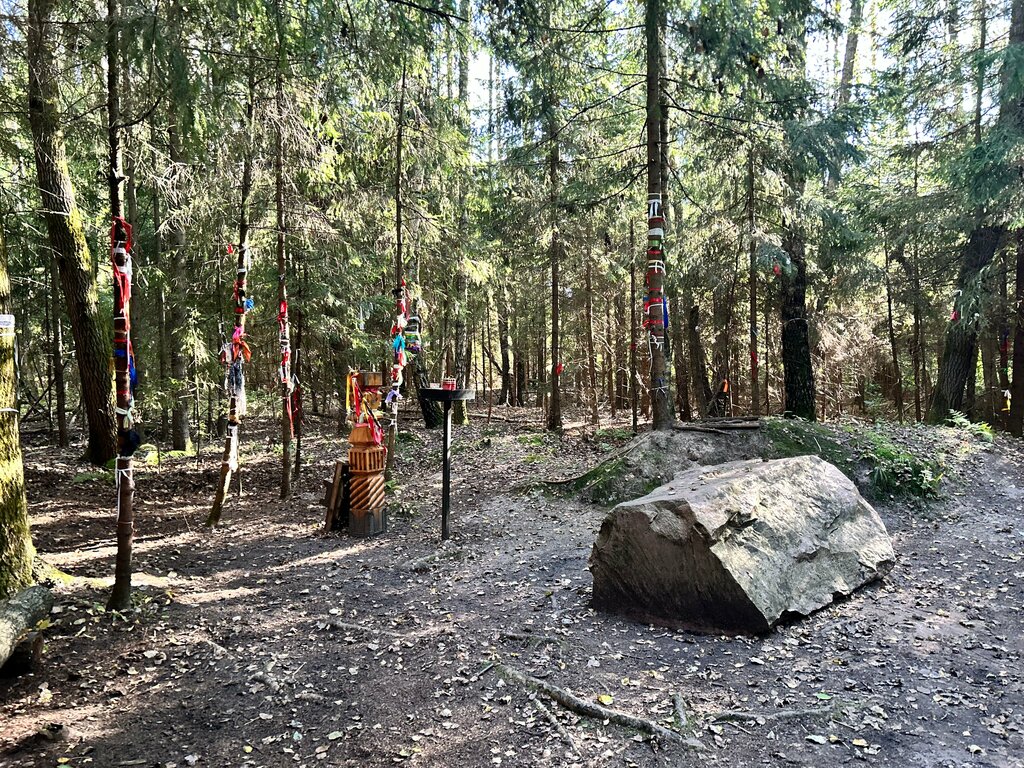 Doğa Камень старообрядцев, Moskova ve Moskovskaya oblastı, foto
