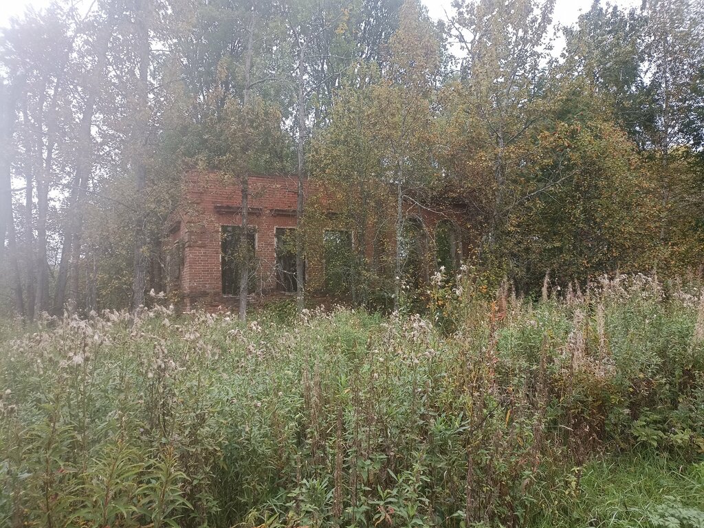 Turistik yerler Руины барского дома в Бородатово, Kostromskaya oblastı, foto