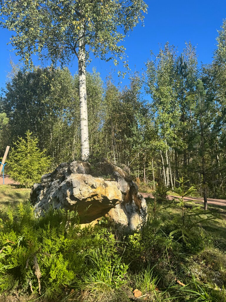 Park, sokak heykeli Камень-крокодил, Saint‑Petersburg ve Leningradskaya oblastı, foto