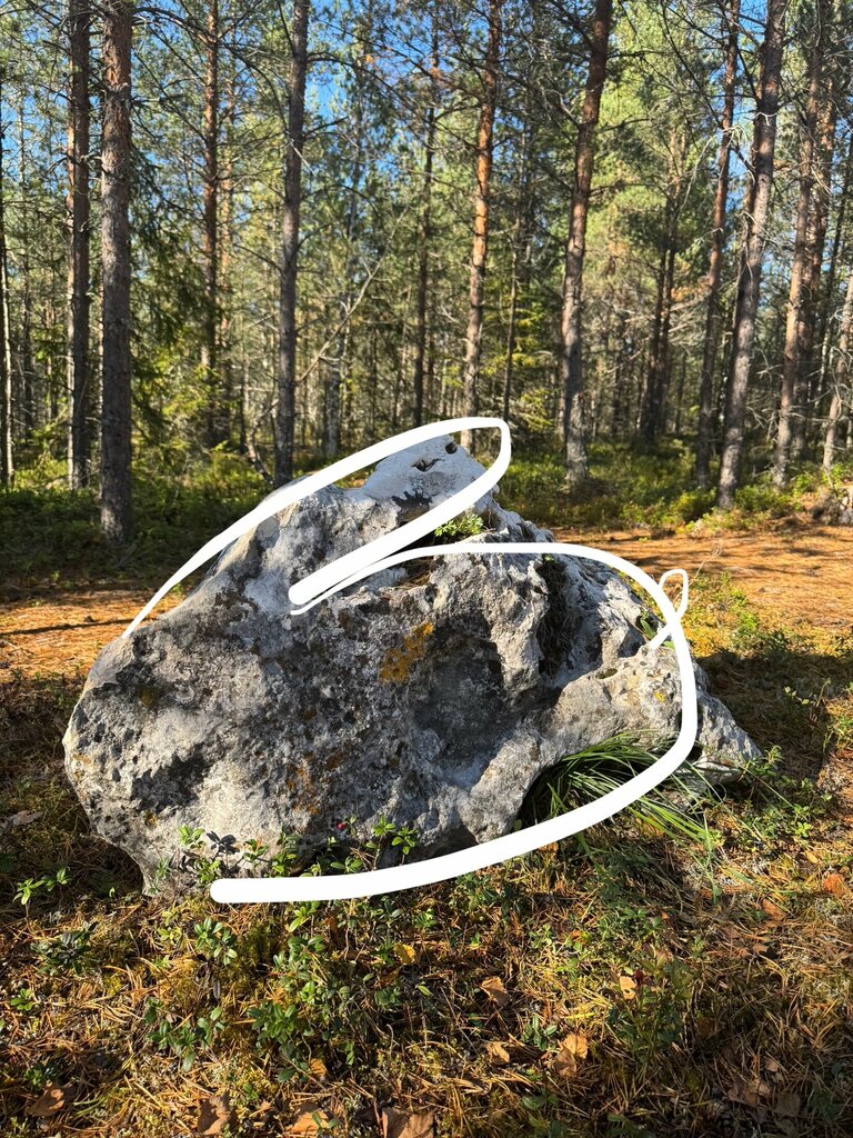 Doğa Камень-кролик, Saint‑Petersburg ve Leningradskaya oblastı, foto