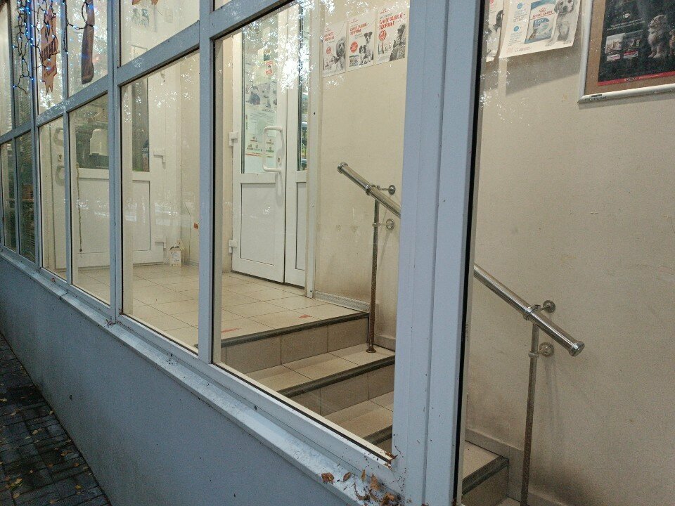 Petshop СобаБоба, Tver, foto
