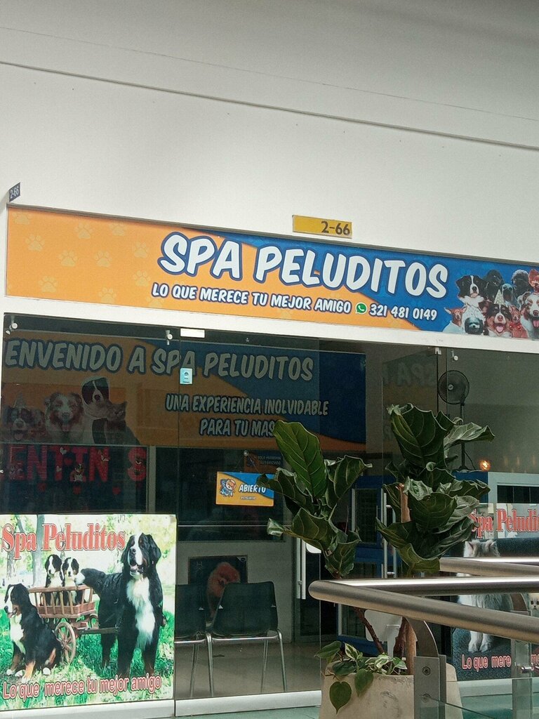 Evcil hayvan kuaförleri SPA Peluditos, Bogota, foto