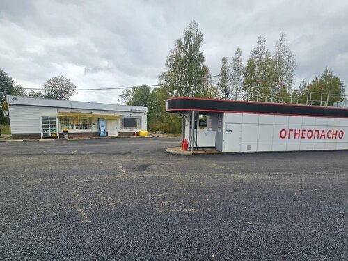 Benzin istasyonu Rosneft', Smolenskaya oblastı, foto
