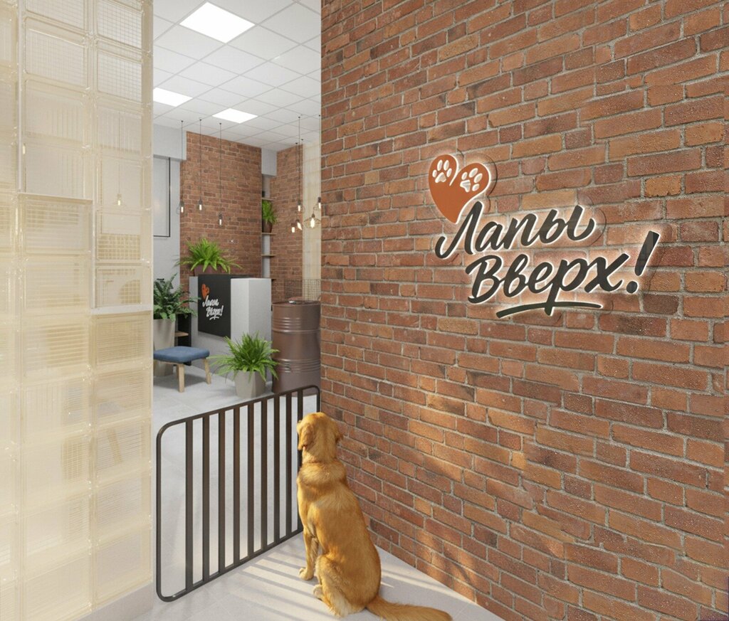 Evcil hayvan kuaförleri Лапы Вверх!, Moskova, foto