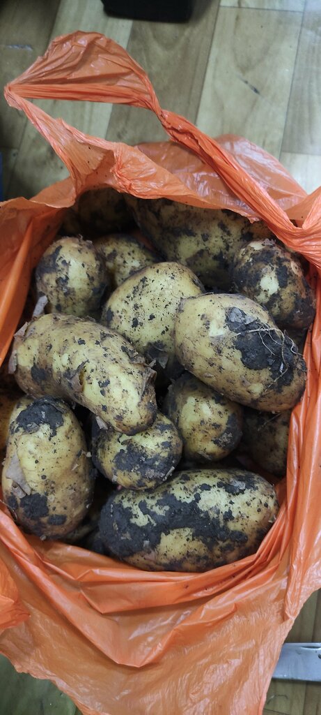 Manavlar Овощи и фрукты, Minsk, foto