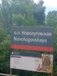Новолуговская (Novosibirskiy District, Razdolnenskiy selsovet, SNT Cheryomushki, Zheleznodorozhnaya ulitsa), tren istasyonu  Novosibirskaya oblastından