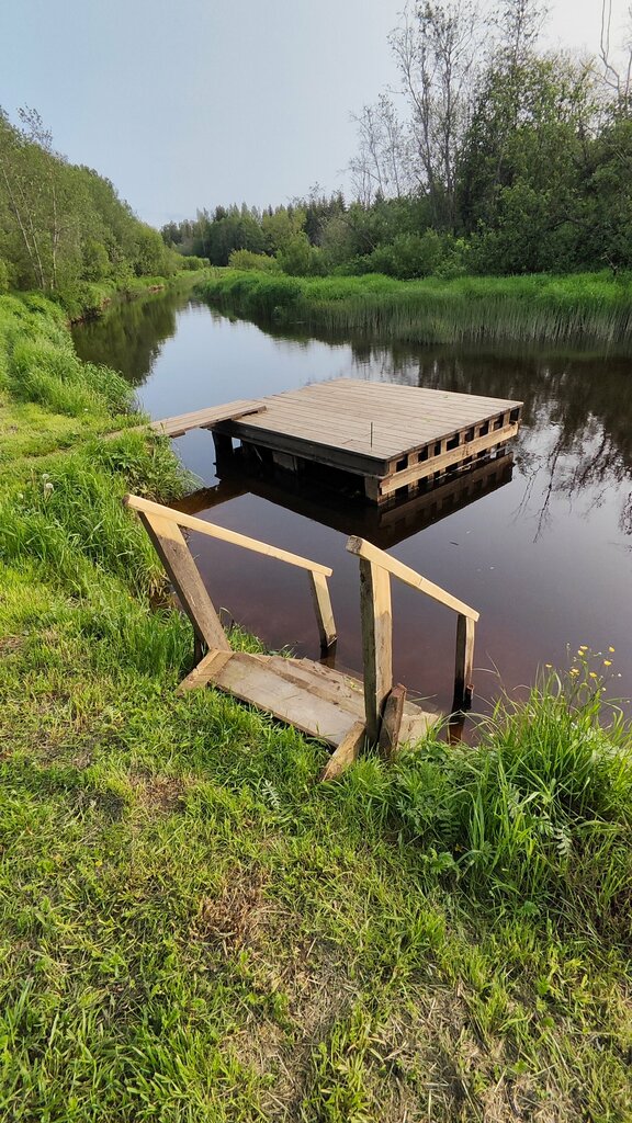 Plaj Пляж, Saint‑Petersburg ve Leningradskaya oblastı, foto