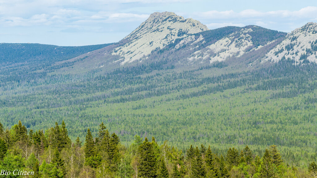 Seyir terası Смотровая площадка, Çeliabinskaya oblastı, foto