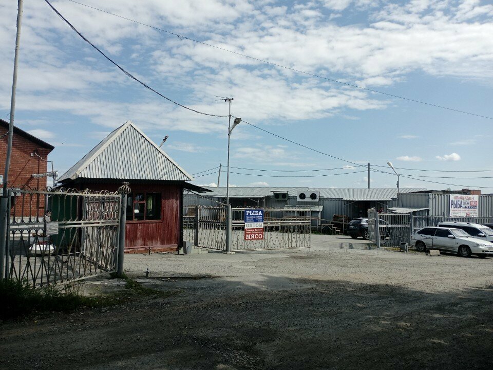 Balık ve deniz ürünleri Рыба, Yekaterinburg, foto