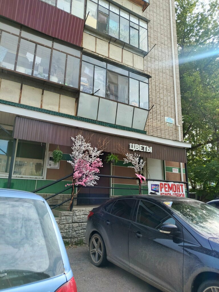 Çiçekçiler Дела Цветочные, Almetyevsk (Elmet), foto