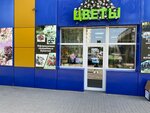 Цветы (Moskovskaya ulitsa No:61Е), çiçekçiler  Tsimliansk'tan
