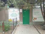 Alim School (Jumabek street No:158), i̇lkokul  Bişkek'ten