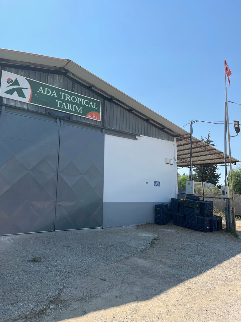 Ürün paketleme Ada tropikal, Antalya, foto
