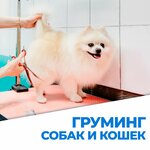 Груминг (Letnyaya Street No:68), evcil hayvan kuaförleri  Kaliningrad'dan