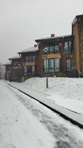 Teghenis Resort (Kotayk Region, Tsaghkadzor), restoran  Tsahkadzor'dan