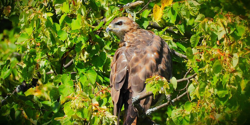 i̇tfaiye Пожарная часть № 2, Zarechny, foto