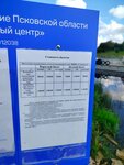 пристань Волшебная гора (Pskov), i̇skele  Pskov'dan