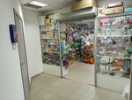 Игрушки, канцтовары (Borovaya Street No:5), çocuk oyunları ve oyuncakları  Petrozavodsk'tan