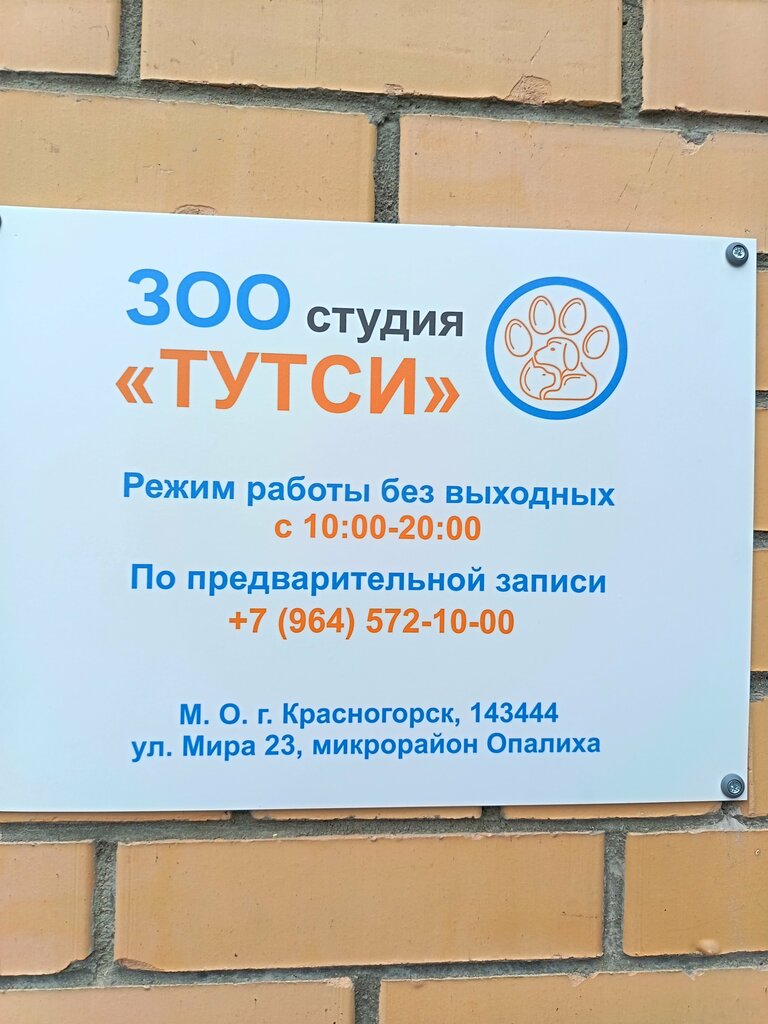 Evcil hayvan kuaförleri Зоостудия Тутси, Krasnogorsk, foto