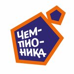 Чемпионика (ulitsa Kuznetsova No:9), bilgisayar kursları  Kotlas'tan